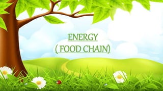 FoodChain-1.pptx