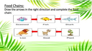 FoodChain-1.pptx