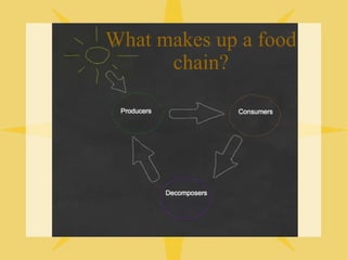 Food chain | PPT