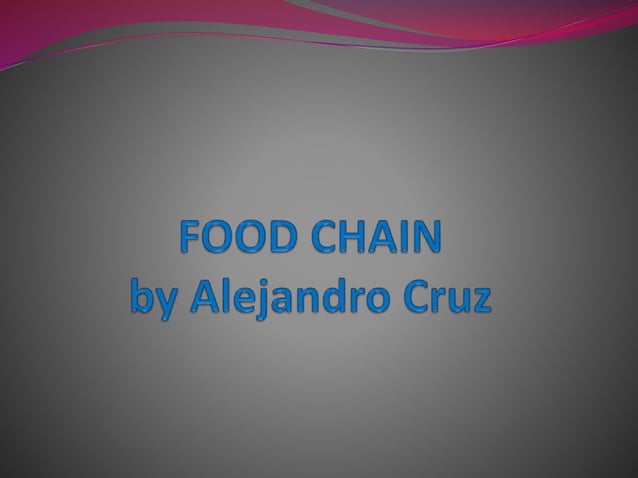 Food chain | PPT