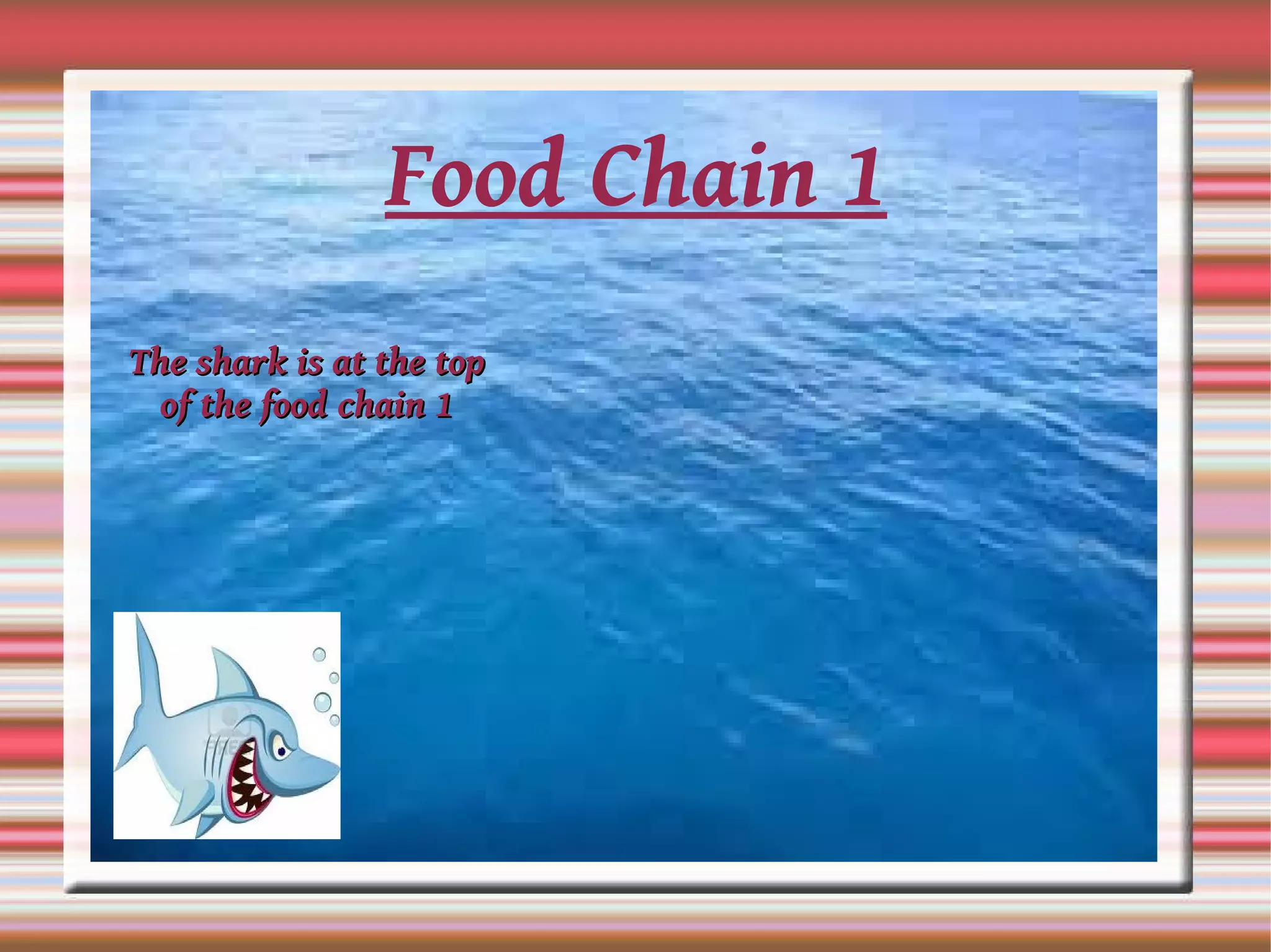 Food chain | PPT