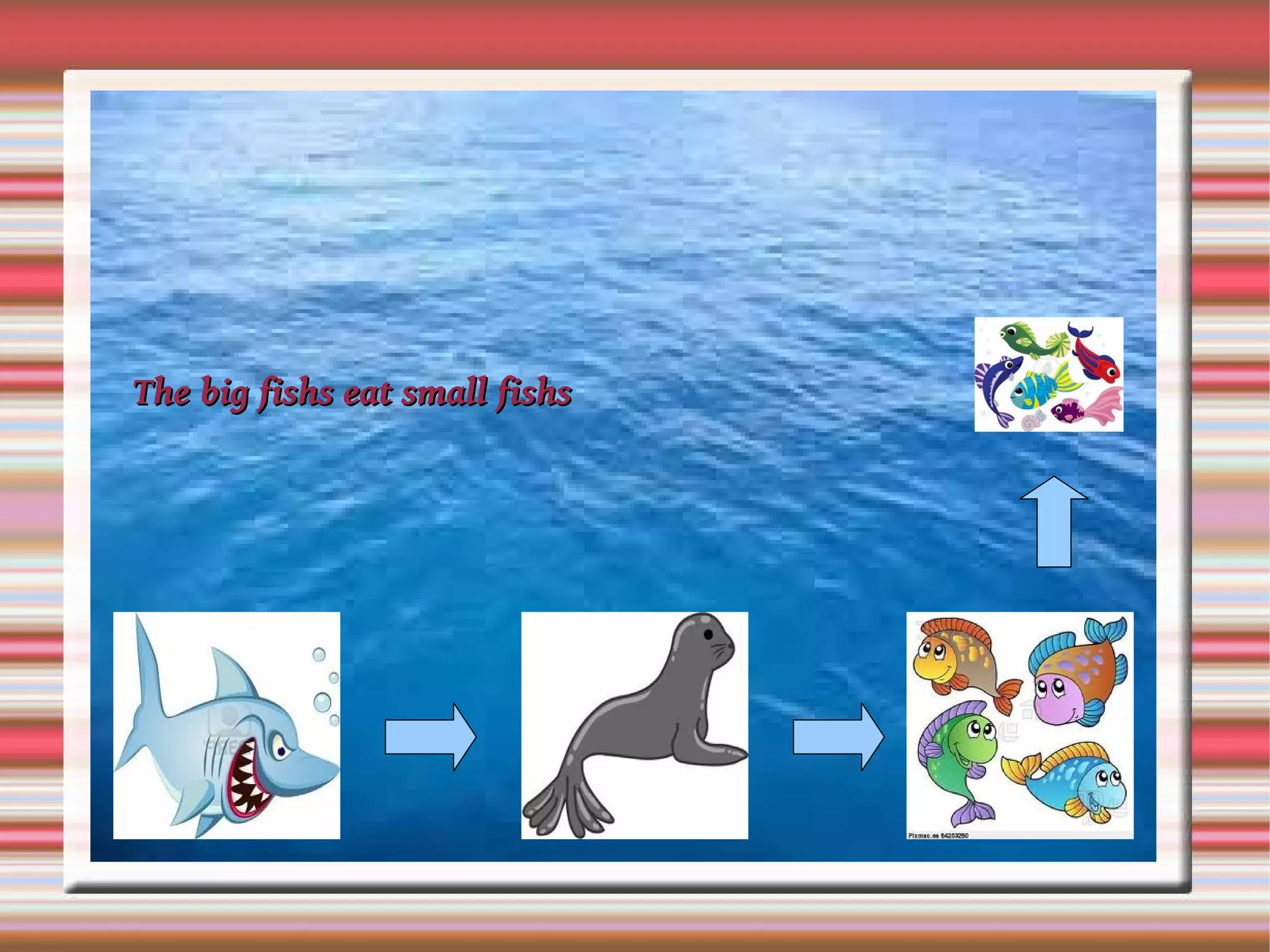 Food chain | PPT