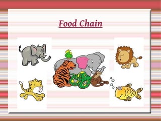 Food chain | PPT