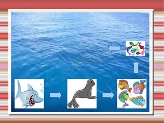 Food chain | PPT