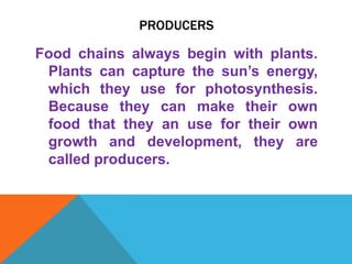 CHMSC Lab. Sch. Sci. 6 Food Chain | PPT