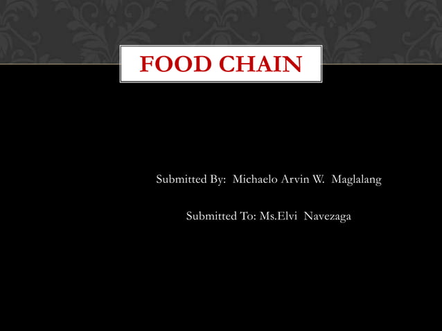 Food chain | PPTX