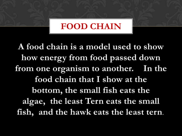 Food chain | PPTX