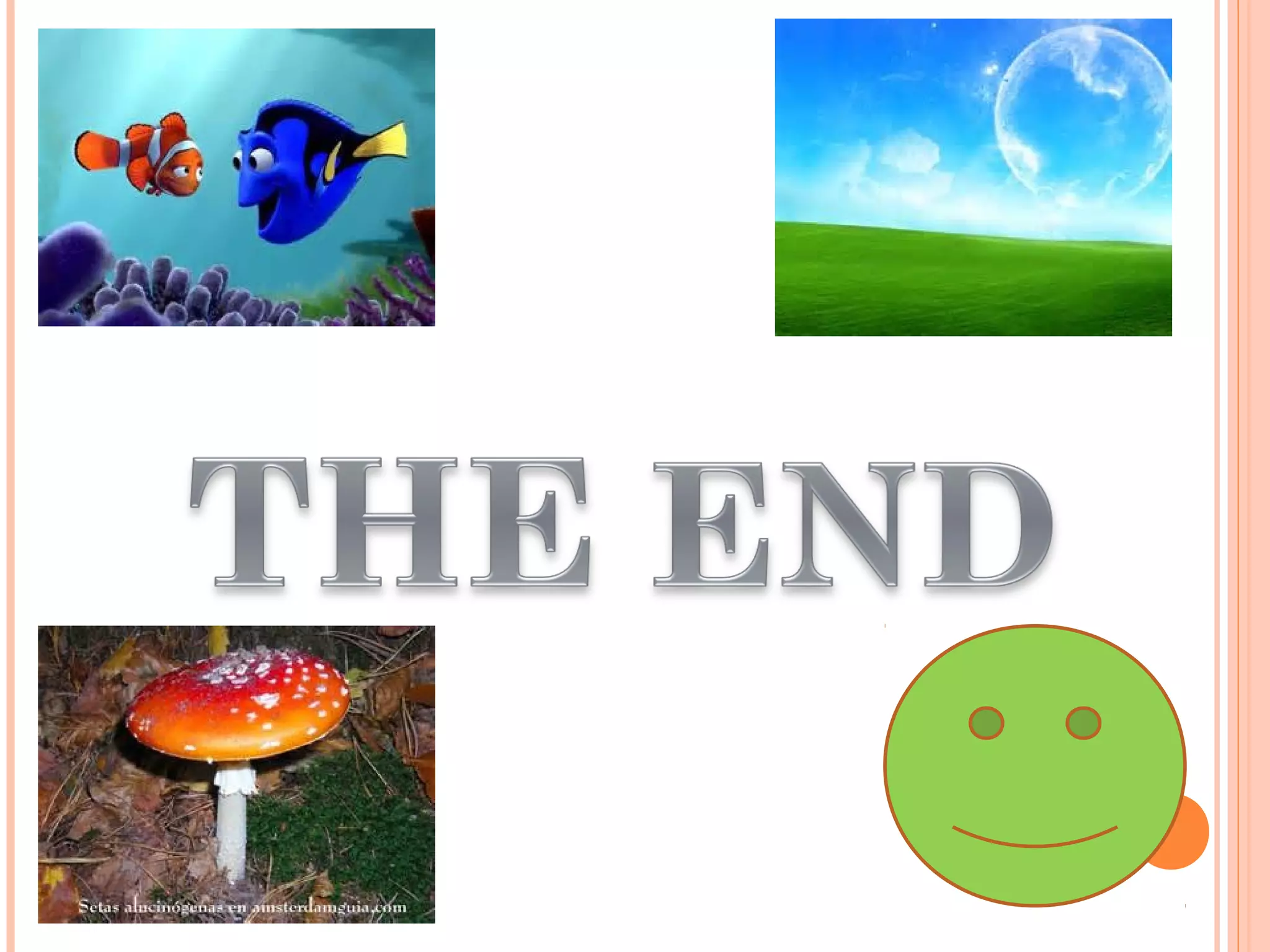 Ecosystems: Food chain | PPT