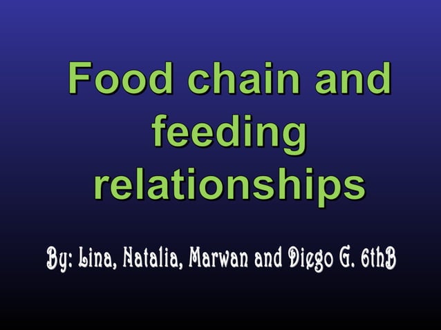 Ecosystems: Food chain | PPT | Reptiles | Pets