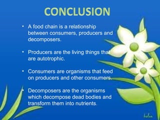 Ecosystems: Food chain | PPT