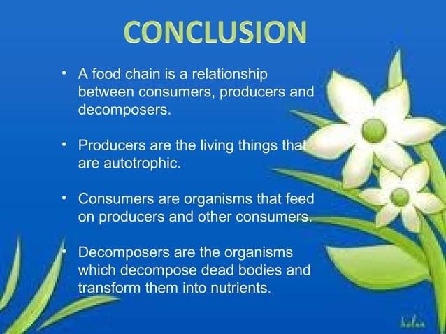Ecosystems: Food chain | PPT | Reptiles | Pets