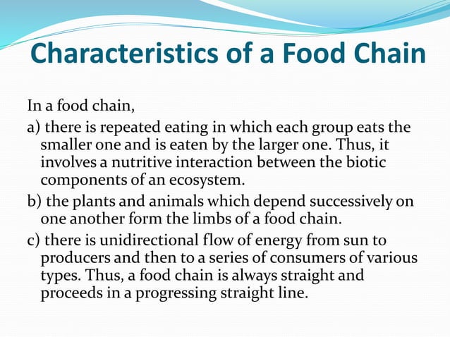 Food chain | PPT | Free Download