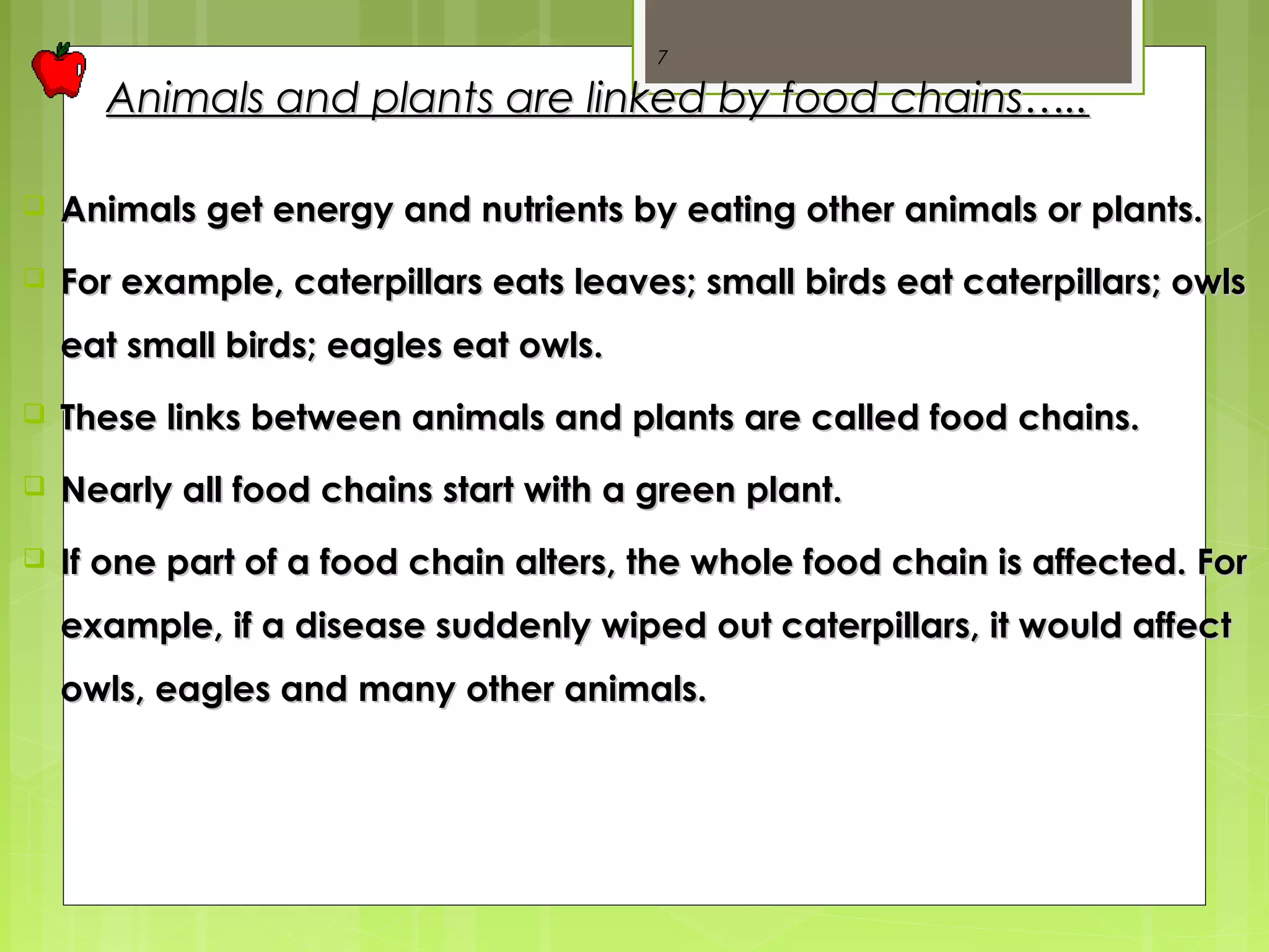 Food chain | PPT