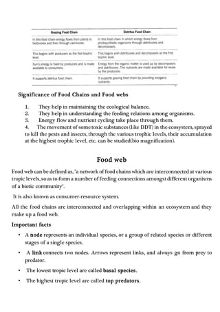 Food chain | DOCX