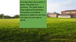 Food chain | PPTX