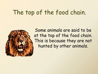 Food chain | PPTX
