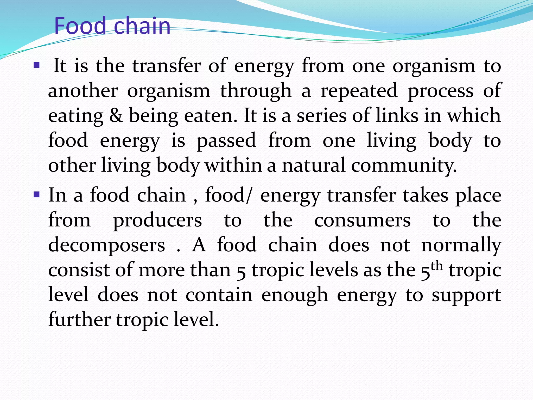 Food Chain (Environmental Science) | PPTX