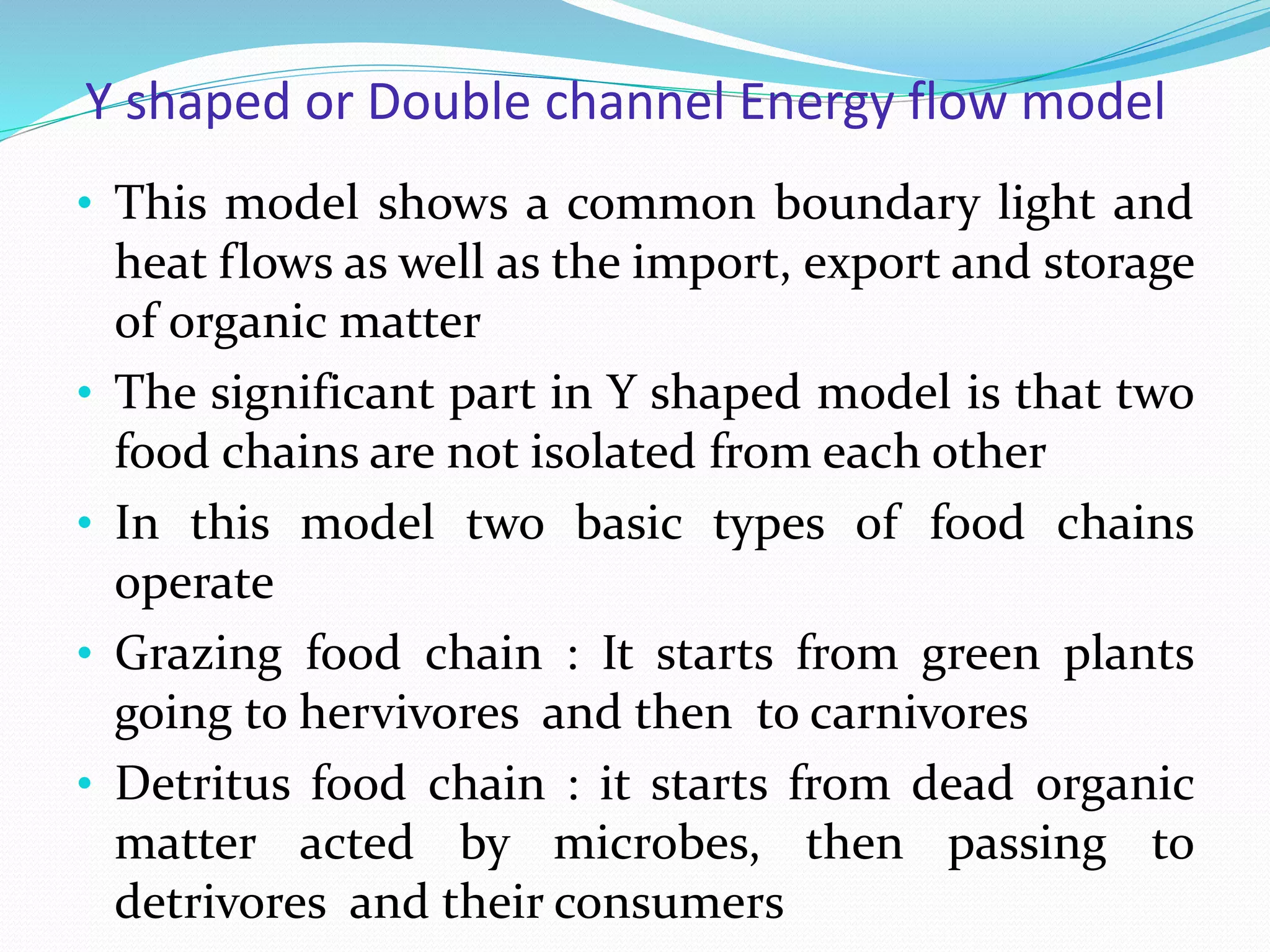 Food Chain (Environmental Science) | PPTX