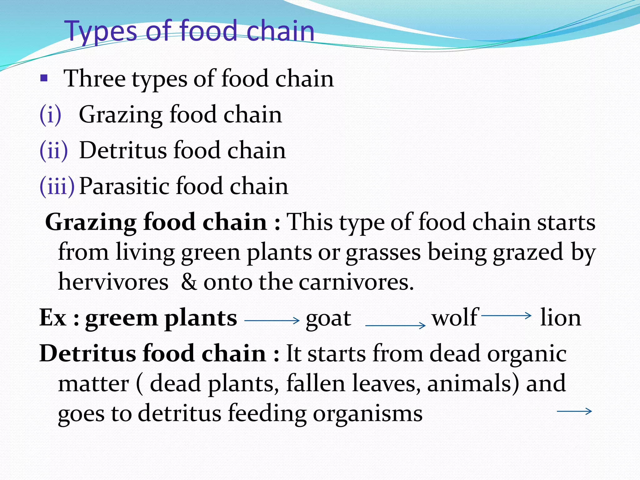 Food Chain (Environmental Science) | PPTX