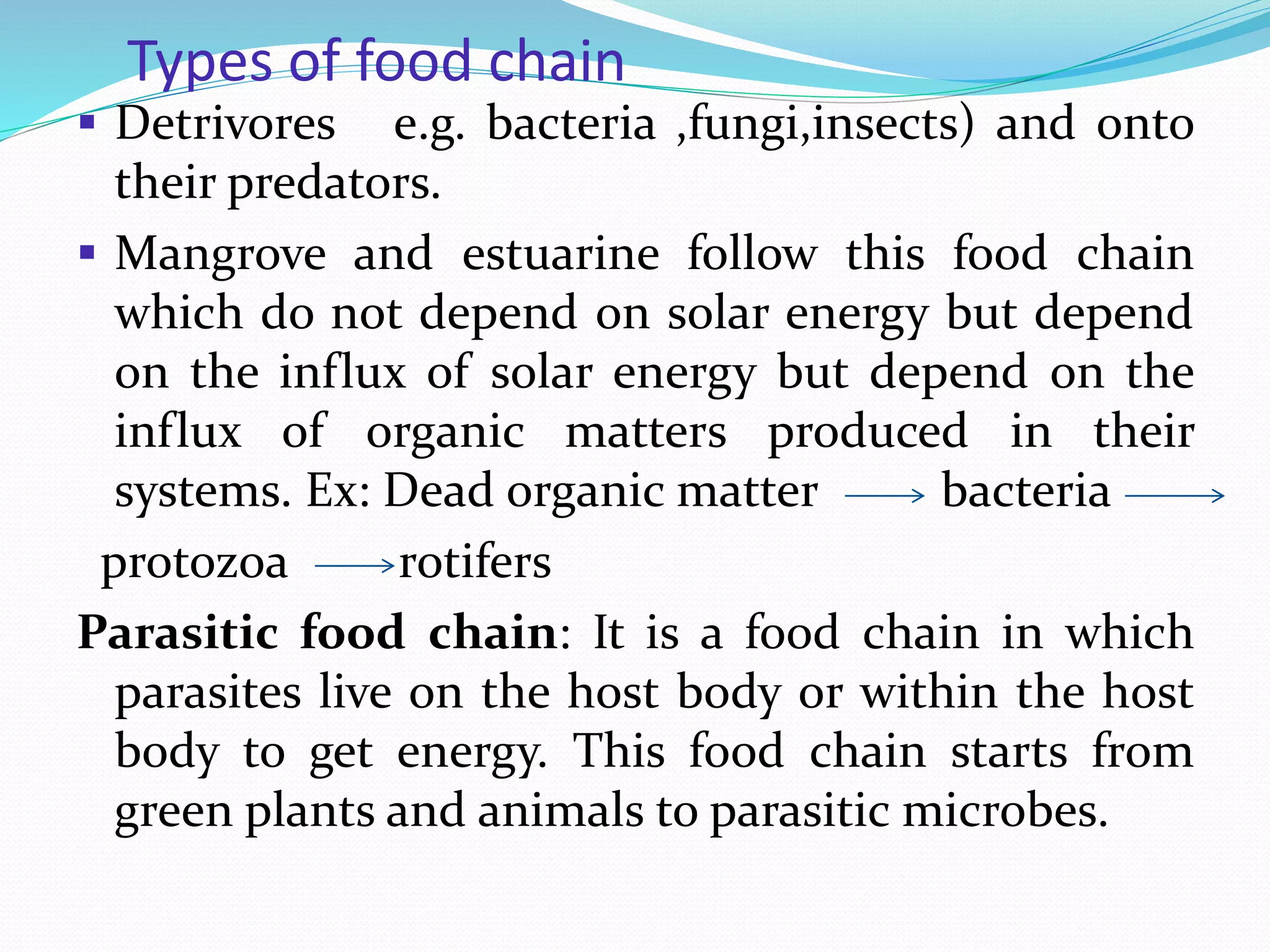 Food Chain (Environmental Science) | PPTX