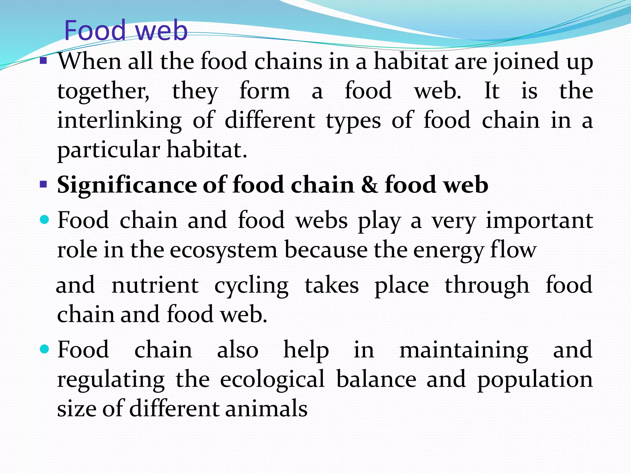 Food Chain (Environmental Science) | PPTX
