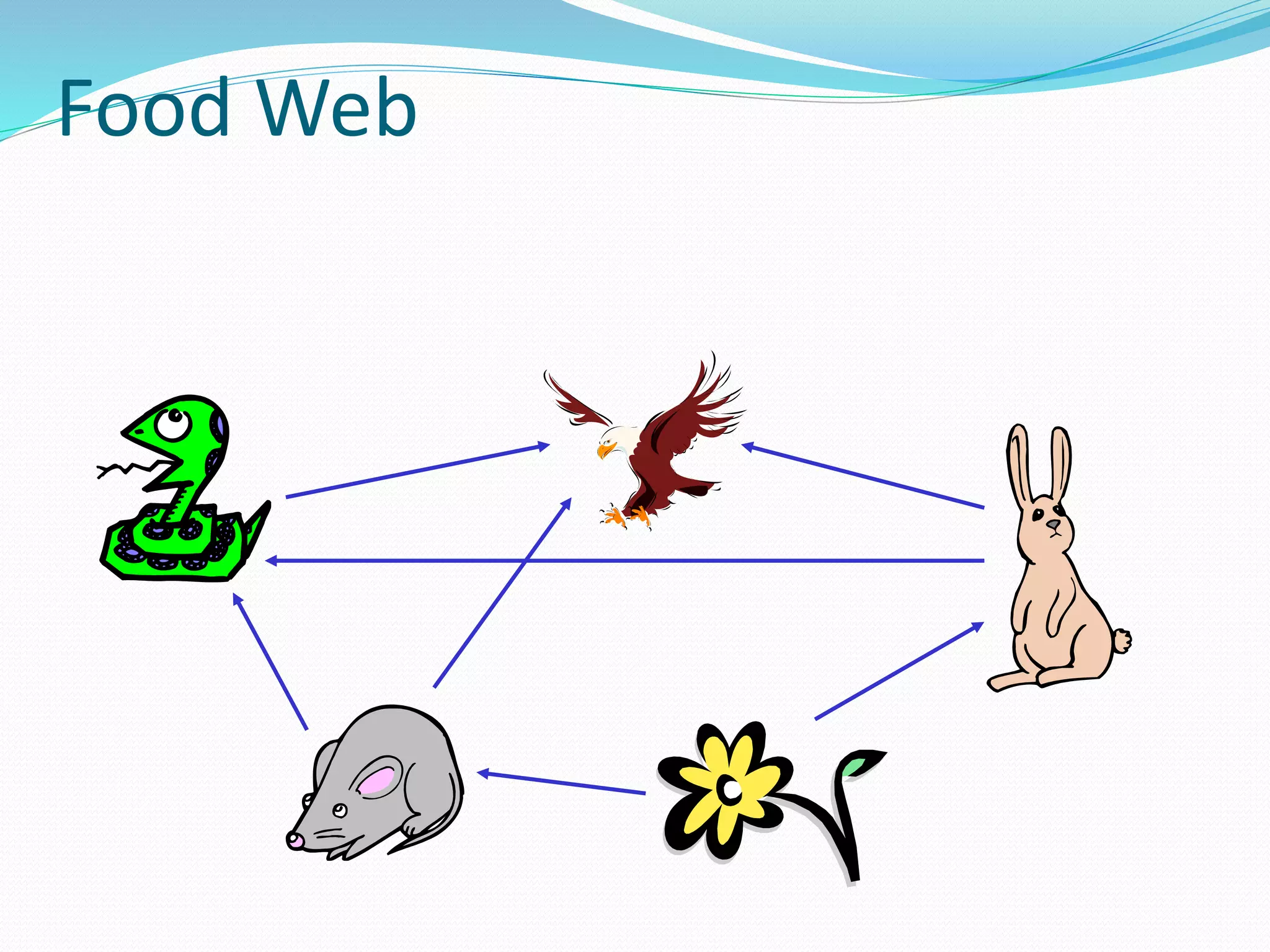 Food Chain (Environmental Science) | PPTX
