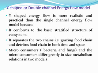 Food Chain (Environmental Science) | PPTX