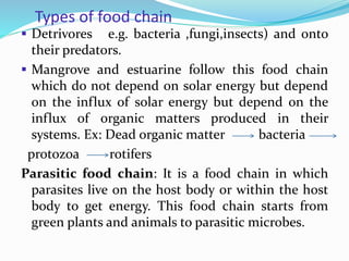 Food Chain (Environmental Science) | PPTX