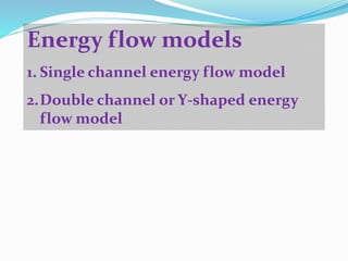 Food Chain (Environmental Science) | PPTX