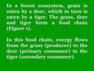 Food chain | PPT