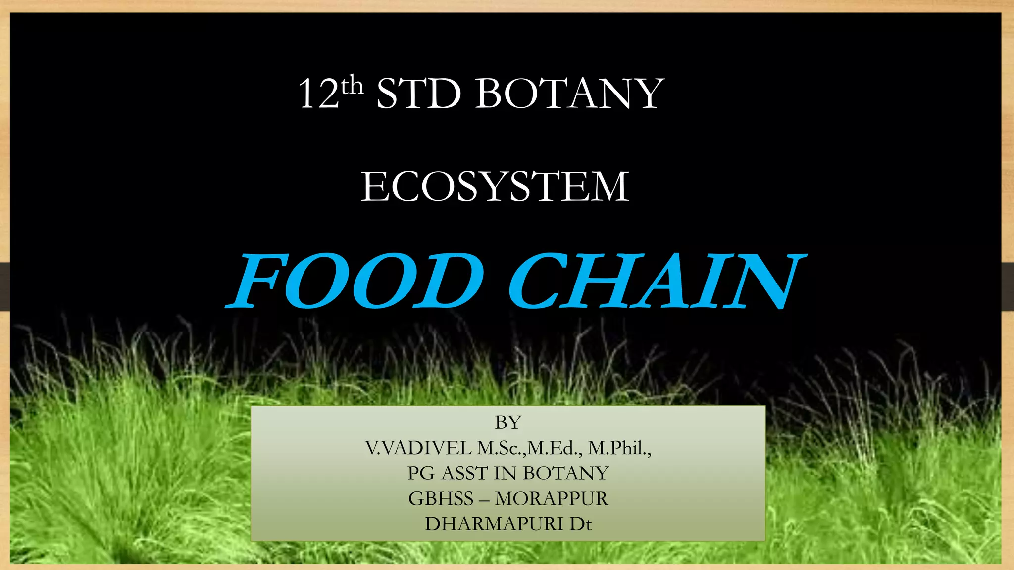 Food chain | PPTX