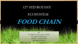 Food chain | PPT