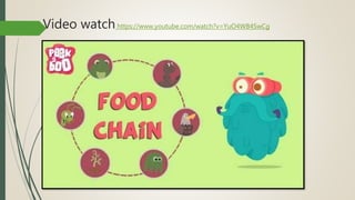 Food chain | PPTX