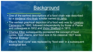 Food chain | PPTX