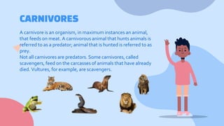 Food Chain | Food Web | PPTX