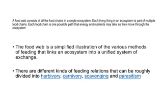 food chain.pptx
