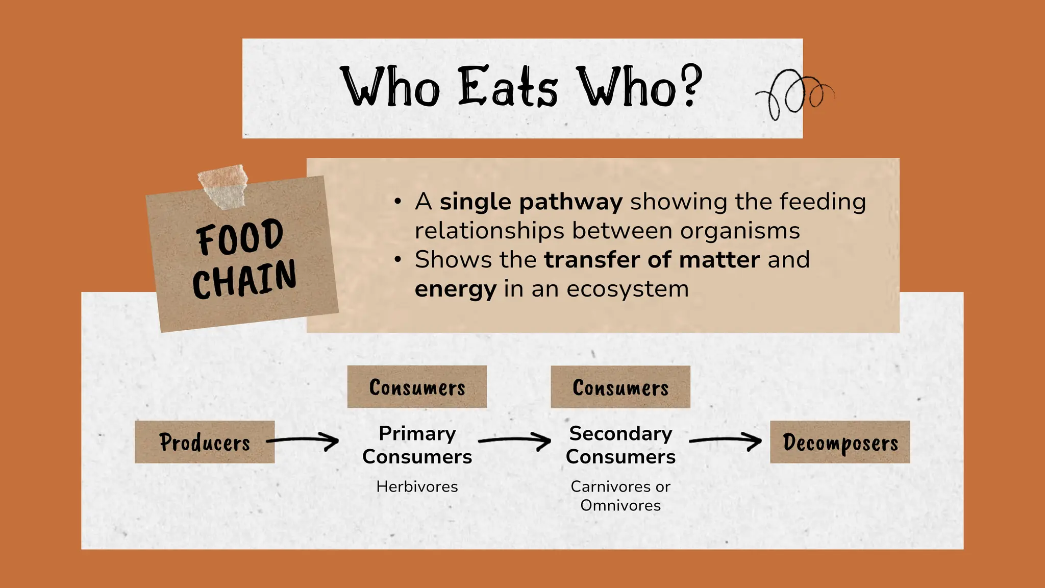 Food Chain and Food Web (Ecosystem) EVS, B. Pharmacy 1st Year, Sem-II ...