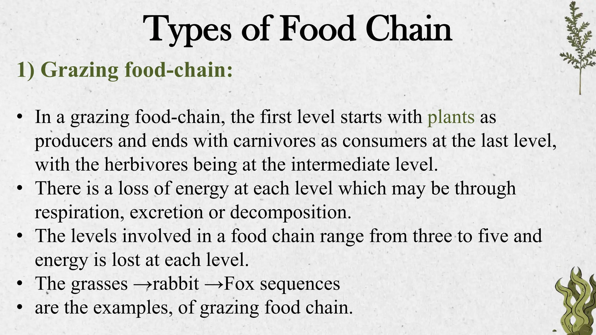 Food Chain and Food Web (Ecosystem) EVS, B. Pharmacy 1st Year, Sem-II ...
