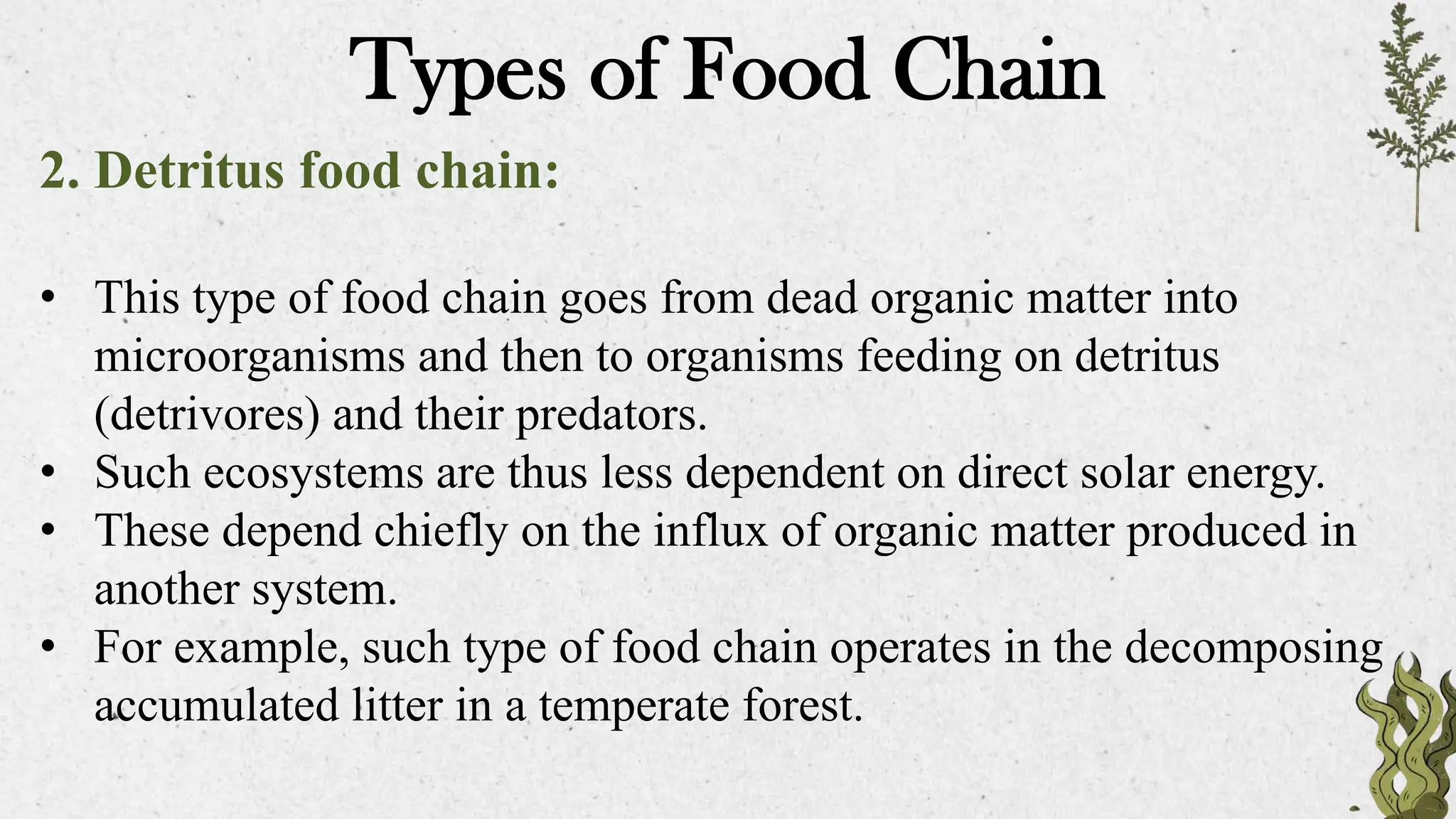 Food Chain and Food Web (Ecosystem) EVS, B. Pharmacy 1st Year, Sem-II ...