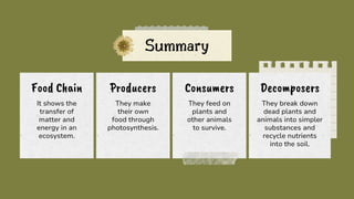 Food Chain and Food Web (Ecosystem) EVS, B. Pharmacy 1st Year, Sem-II ...