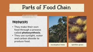 Food Chain and Food Web (Ecosystem) EVS, B. Pharmacy 1st Year, Sem-II ...