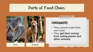 Food Chain and Food Web (Ecosystem) EVS, B. Pharmacy 1st Year, Sem-II ...