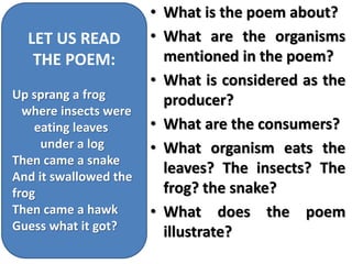 FOOD CHAIN powerpoint presentation (Science) | PPT