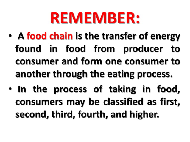FOOD CHAIN powerpoint presentation (Science) | PPT