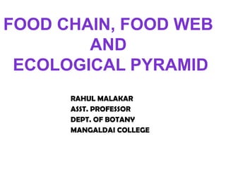 Food Chain , food web , ecological pyramid | PPTX | Biological Sciences ...