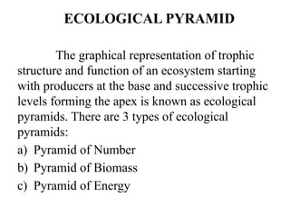 Food Chain , food web , ecological pyramid | PPTX | Biological Sciences ...
