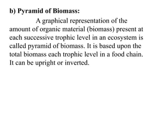 Food Chain , food web , ecological pyramid | PPTX
