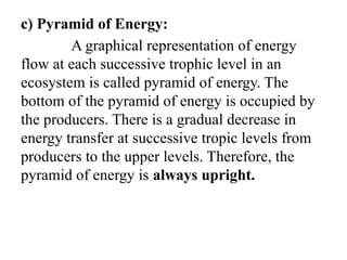 Food Chain , food web , ecological pyramid | PPTX