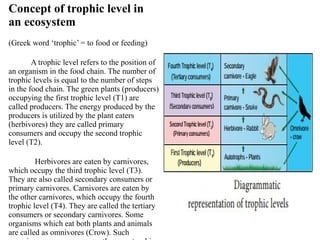 Food Chain , food web , ecological pyramid | PPTX | Biological Sciences ...