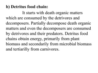 Food Chain , food web , ecological pyramid | PPTX